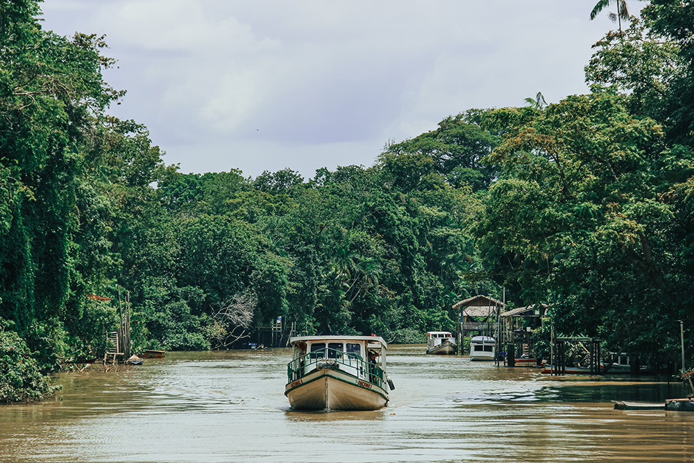 Ilha do Combu: como chegar, o que fazer e dicas de quem foi